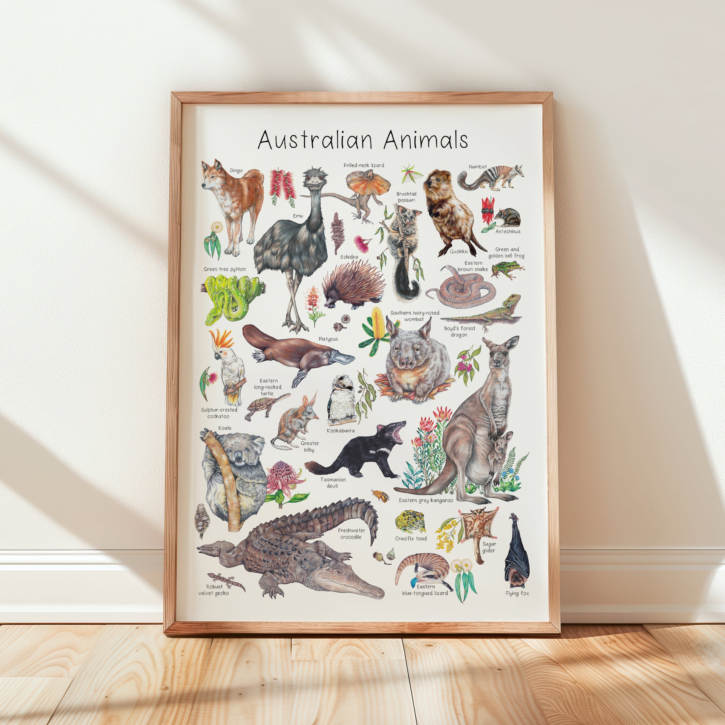 Australian Animals Poster - A3 size