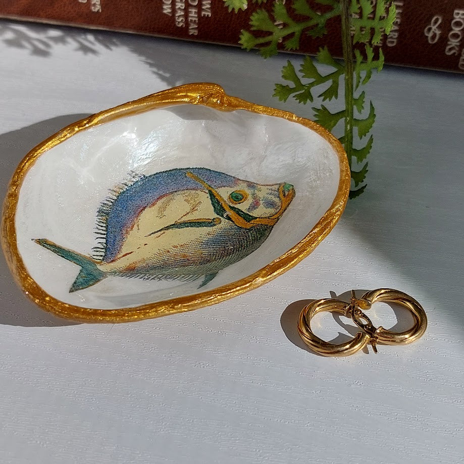 Real pipi shell little ring dish, sparkly fish