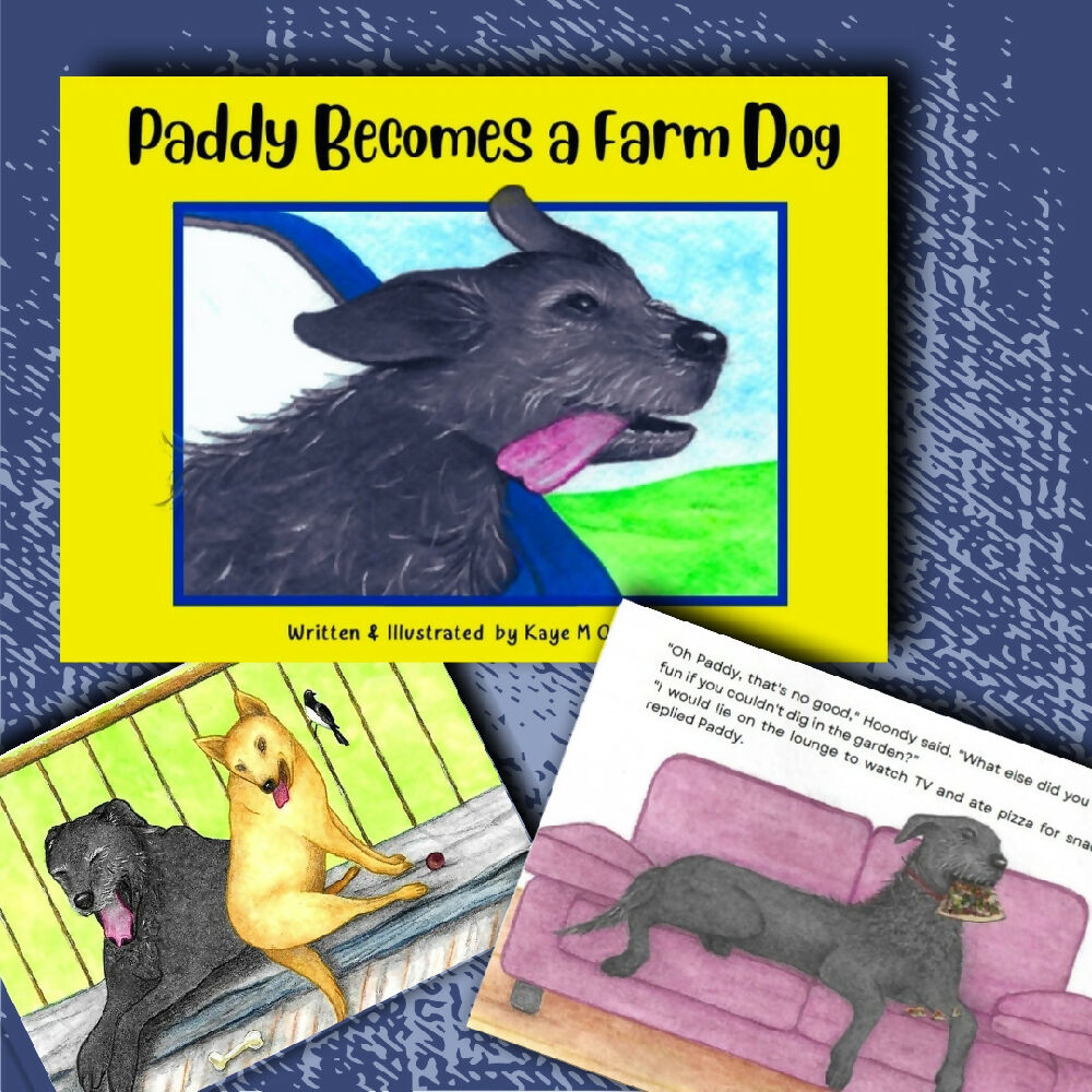 Children's book - Paddy Becomes a Farm Dog