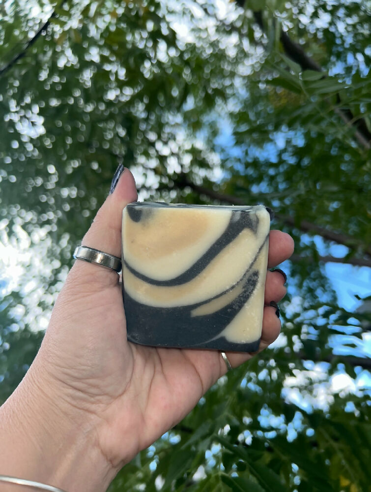 Ginkgo Tea Soap | Sandalwood and Oak Moss | Handcrafted | Natural Soap