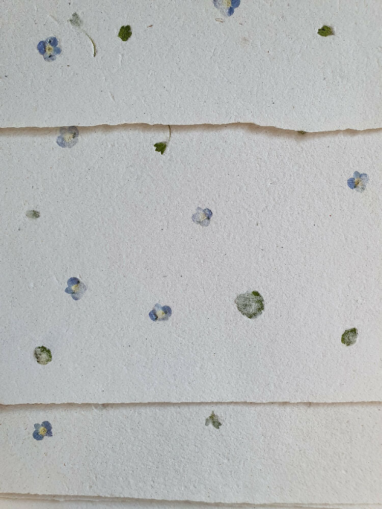 Wildflower Handmade Paper Sheets / Letter Writing paper / Love letter