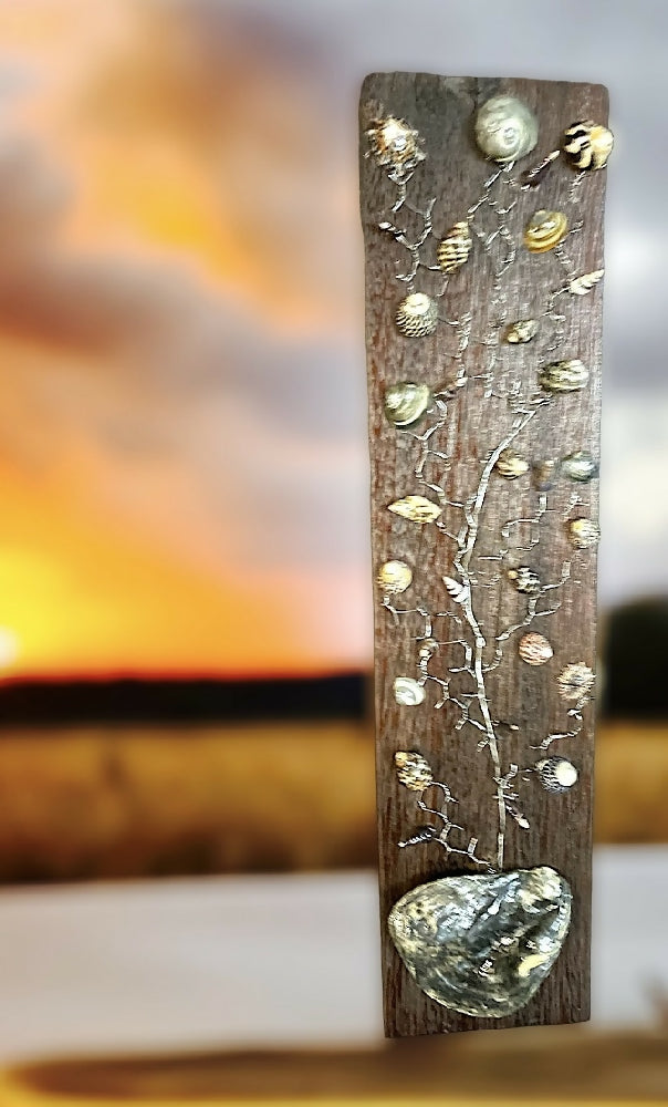 Seashell - Timber Wall Art