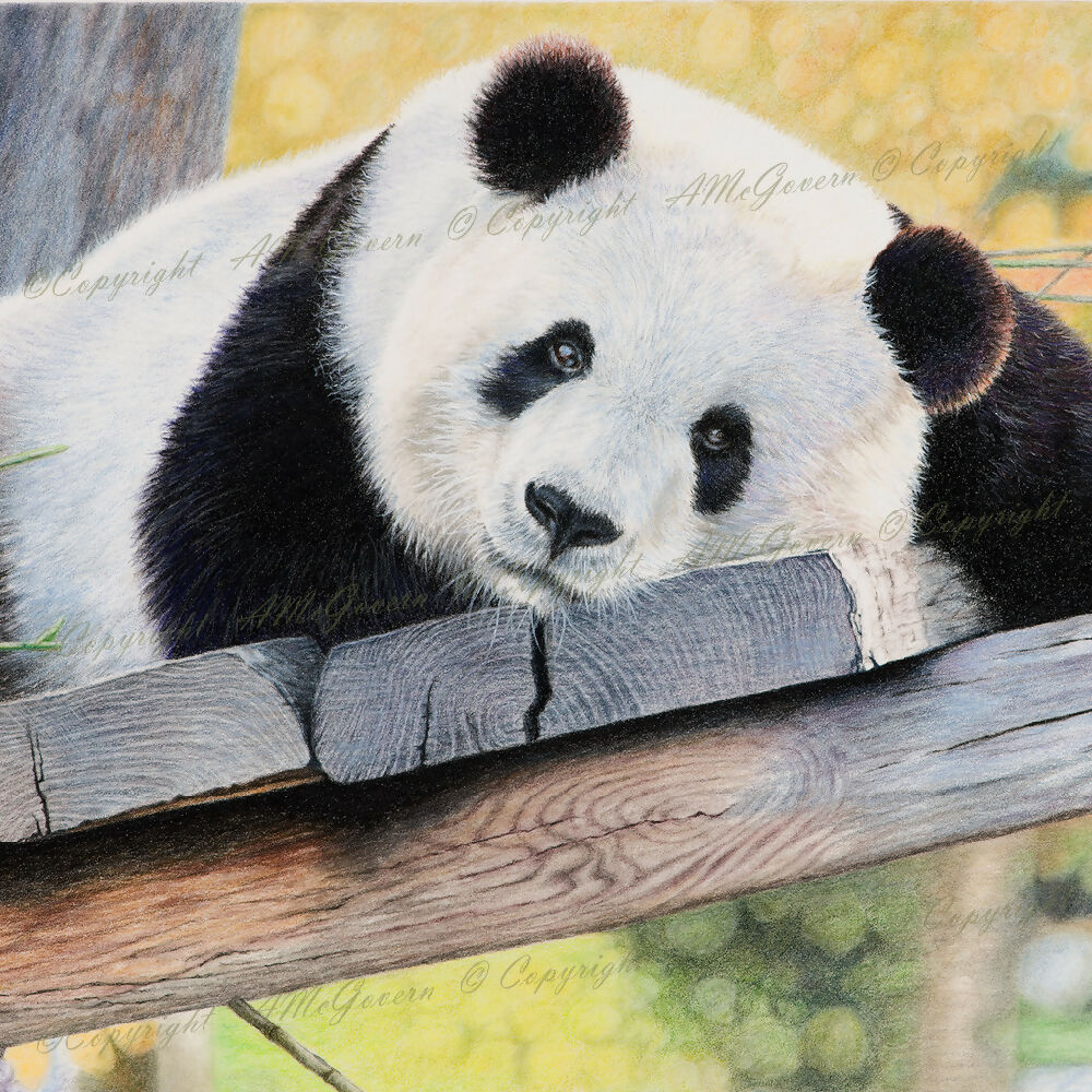 Handmade | Panda Fine Art Print "Lazy Day" | Wall Art
