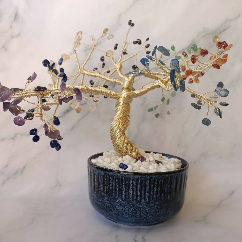 Variety Custom Large Gem Tree Australia