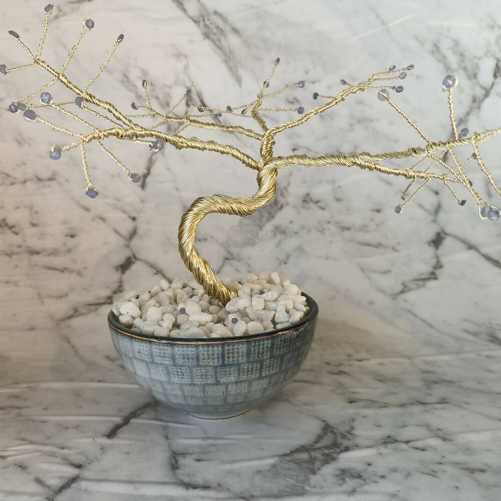 Variety Custom Precious Specialty Gem Tree Australia