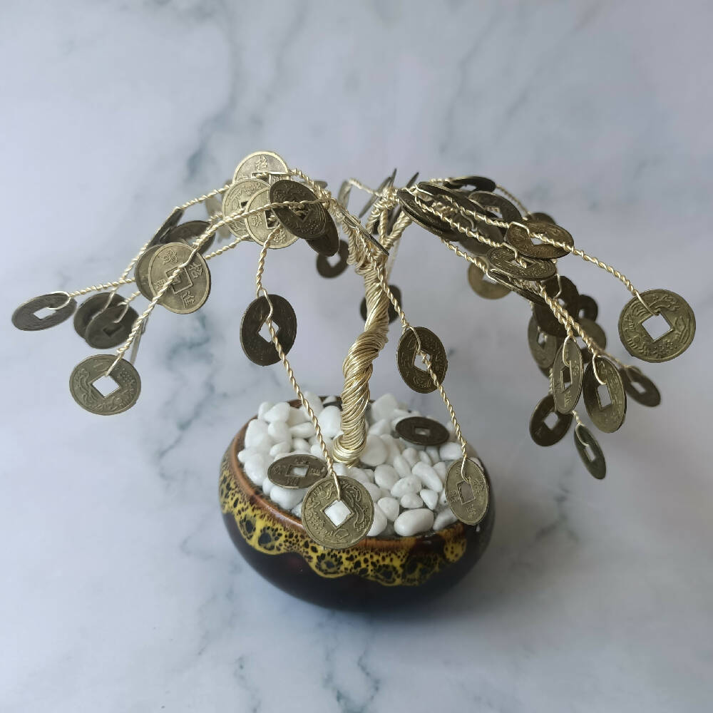 Feng Shui Lucky Coin Willow Tree for Good Luck Fortune and Blessings